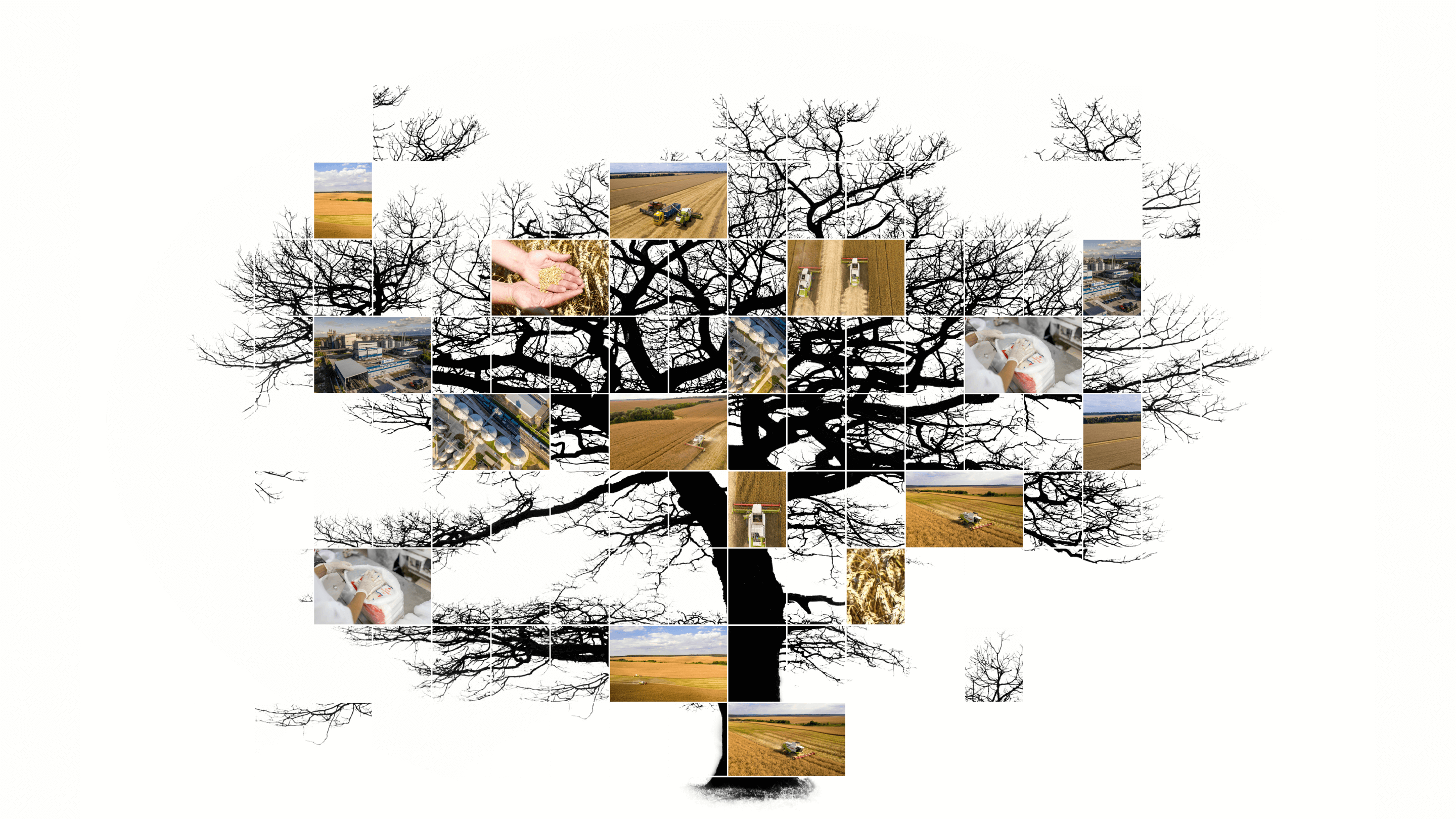 Як малому бізнесу вирости у велику компанію - Projects